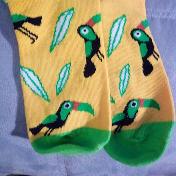 Accessories | Toucan Womens Socks | Poshmark